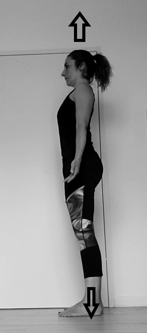 Le Gainage du Dos, l'exercice postural indispensable