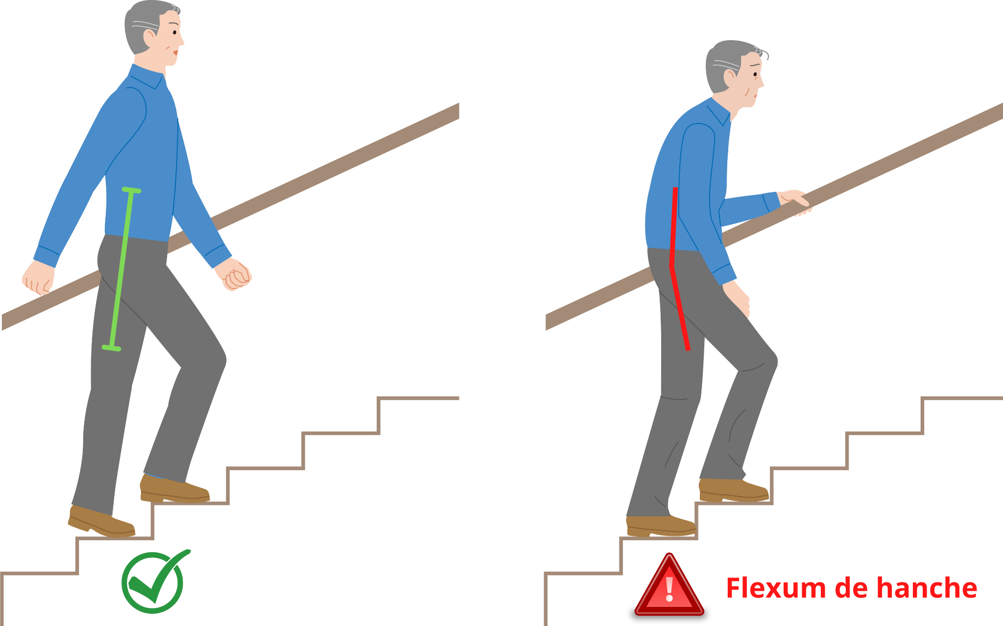 Anatomie : tout savoir sur le Psoas, muscle de l'âme!