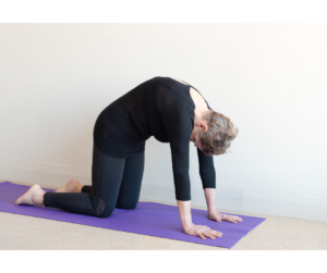 Antéversion et Rétroversion du bassin