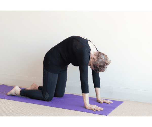 Antéversion et Rétroversion du bassin