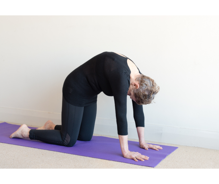 Antéversion et Rétroversion du bassin